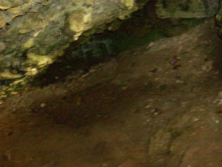 Citrus County Florida Directory - Latest Fieldtrip